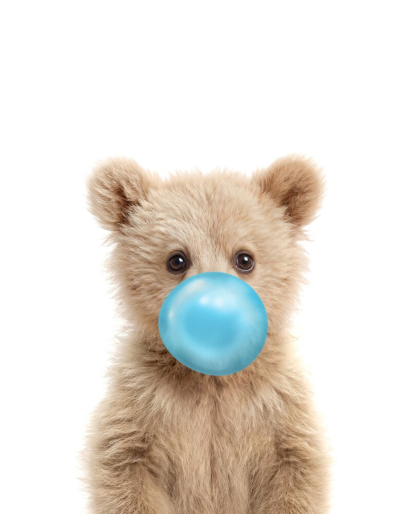 The Baby Animals Collection - Classic – The Crown Prints