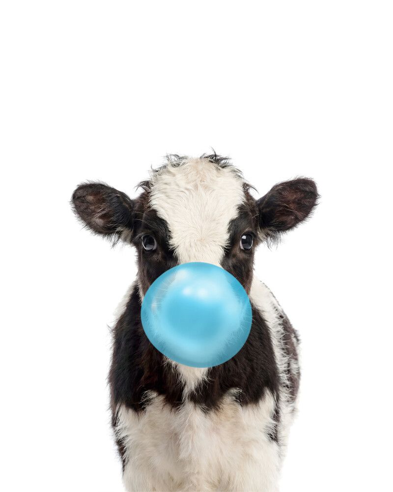 The Baby Animals Collection - Classic – The Crown Prints