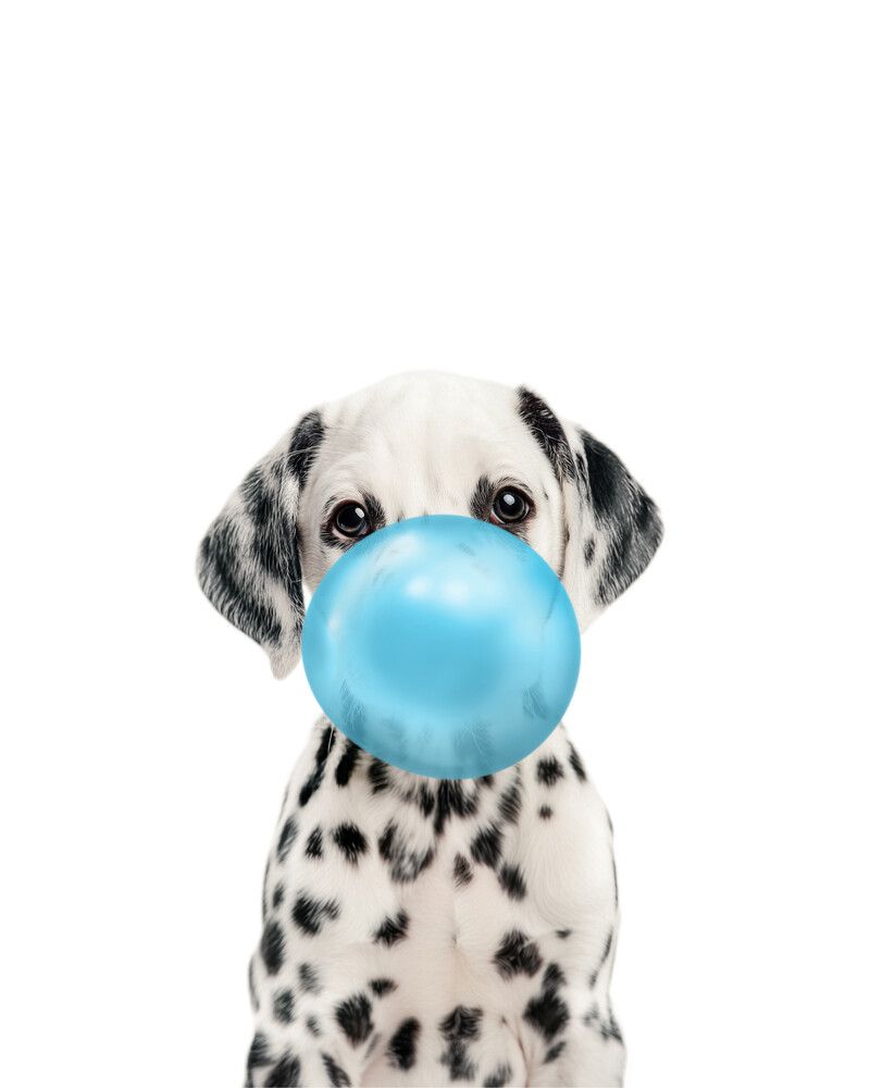 The Baby Animals Collection - Classic – The Crown Prints