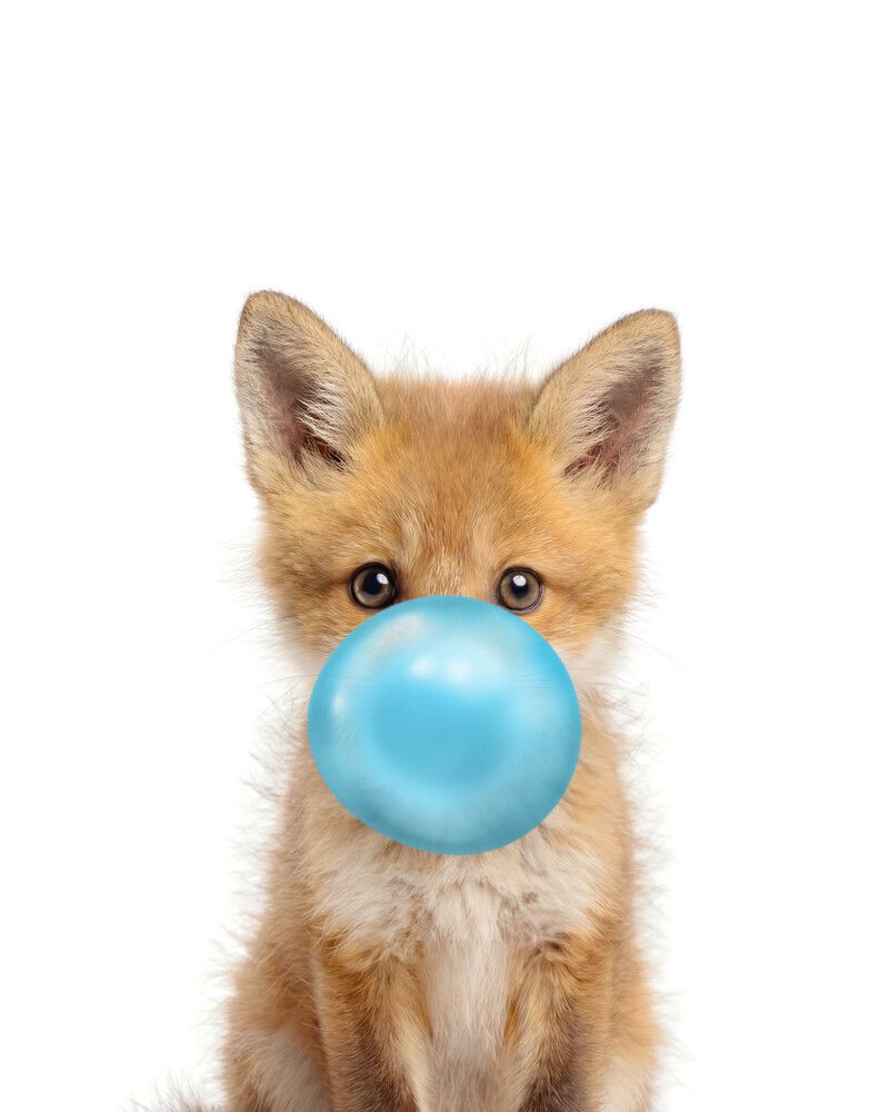 The Baby Animals Collection - Classic – The Crown Prints